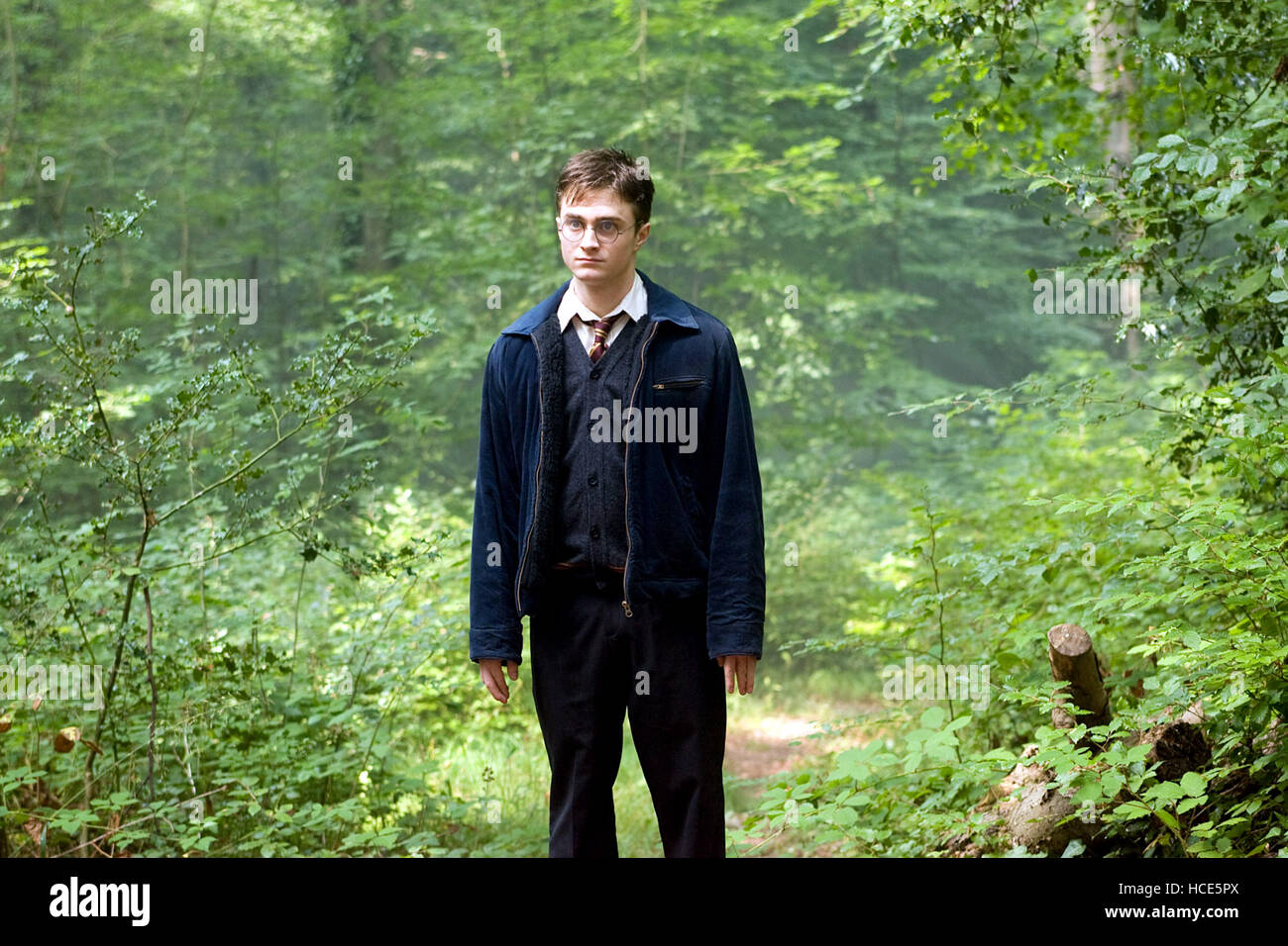 HARRY POTTER AND THE ORDER OF THE PHOENIX, Daniel Radcliffe, 2007. Ph ...
