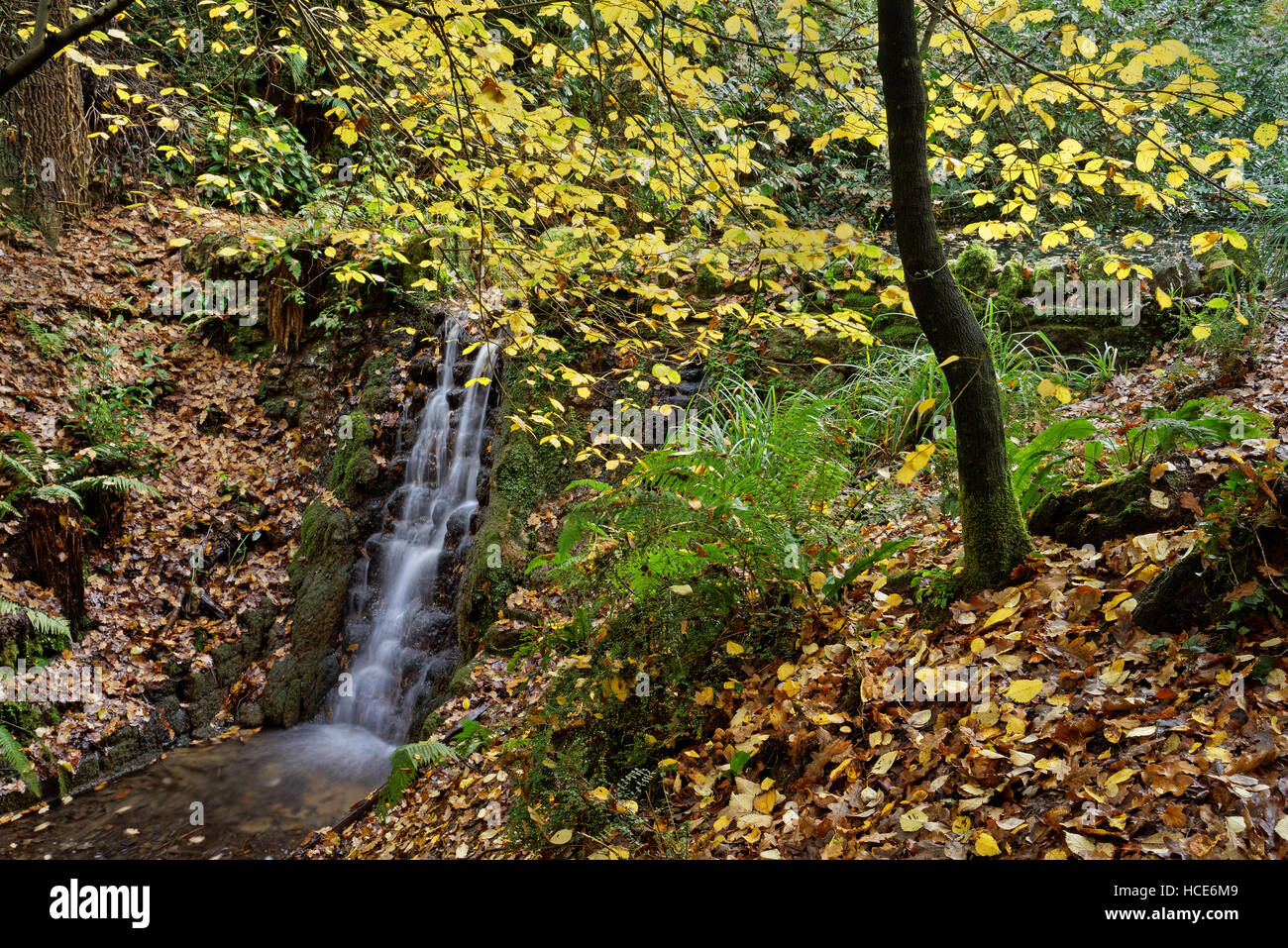 UK,Somerset,Yeovil,Yeovil Country Park,Ninesprings Waterfall Stock ...