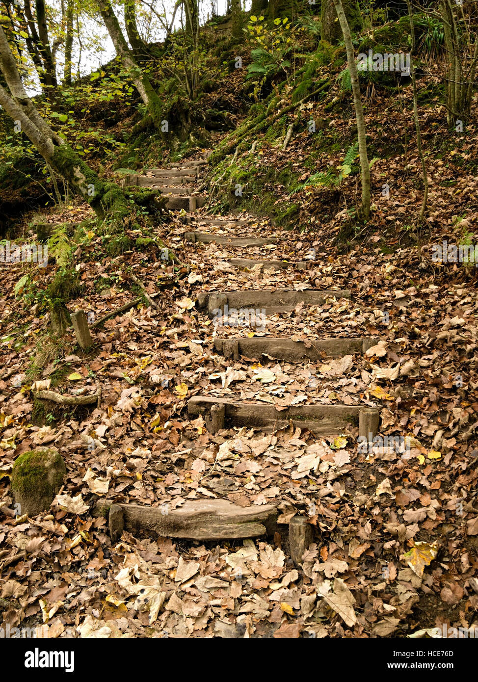 Do not leave footpath hi-res stock photography and images - Alamy
