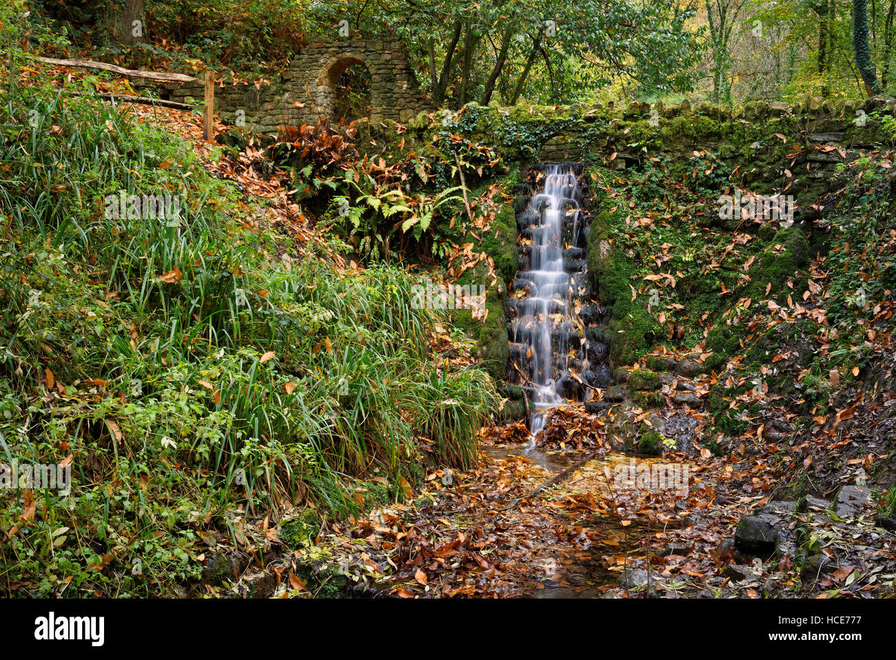 UK,Somerset,Yeovil,Yeovil Country Park,Ninesprings Waterfall Stock ...