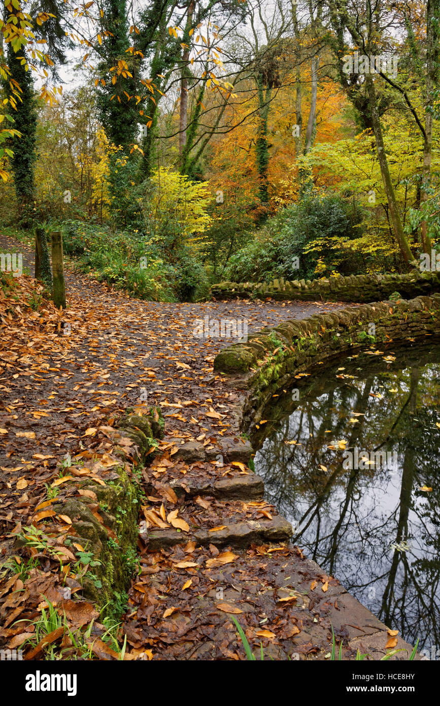 UK, Somerset, Yeovil, Yeovil Country Park, Ninesprings Pond and ...