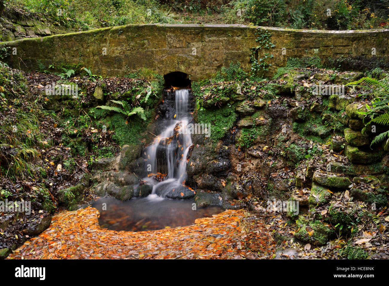 UK,Somerset,Yeovil,Yeovil Country Park,Ninesprings,Waterfall and Bridge ...
