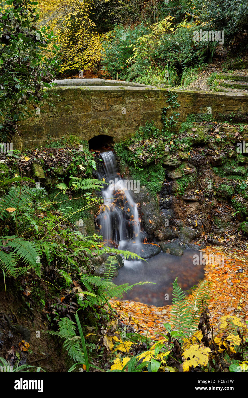UK,Somerset,Yeovil,Yeovil Country Park,Ninesprings,Waterfall and Bridge ...
