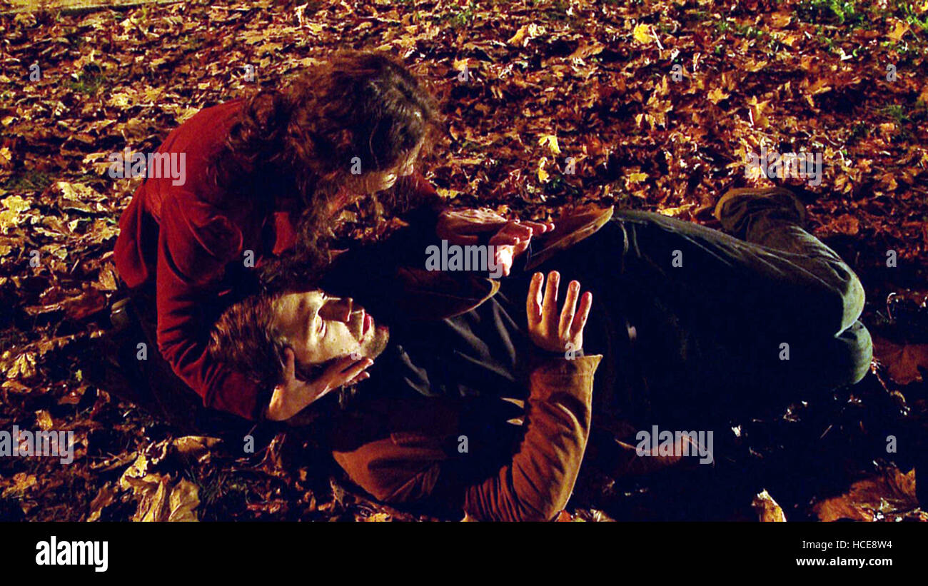 HONEYMOONS, (aka MEDENI MESEC), from left: Jelena Trkulja, Nebojsa ...