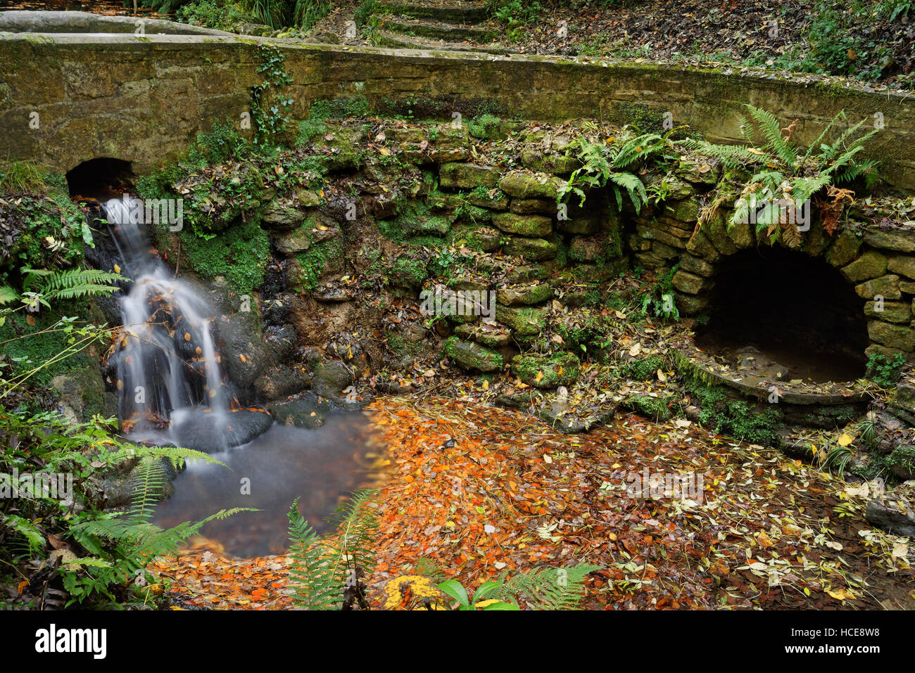 UK,Somerset,Yeovil,Yeovil Country Park,Ninesprings Waterfall Stock ...