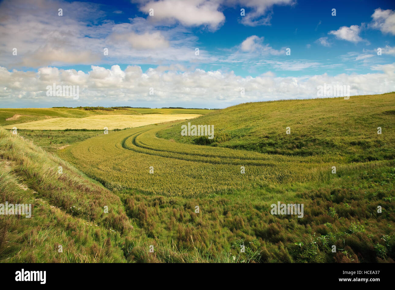 danish summer landscape on a sunny day Stock Photo - Alamy