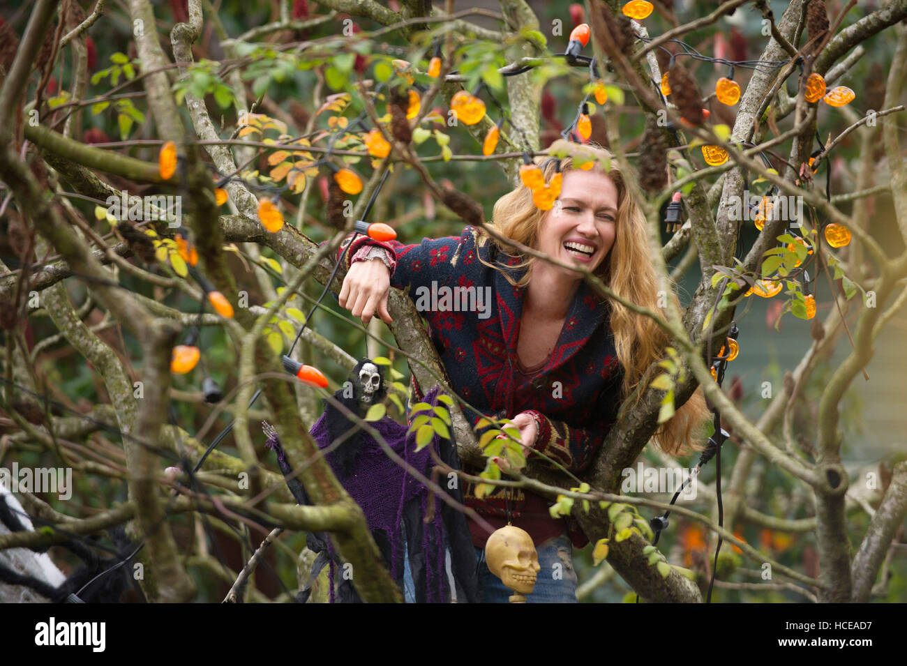 IF I STAY, Mireille Enos, 2014. ph: Doane Gregory/©Warner Bros ...