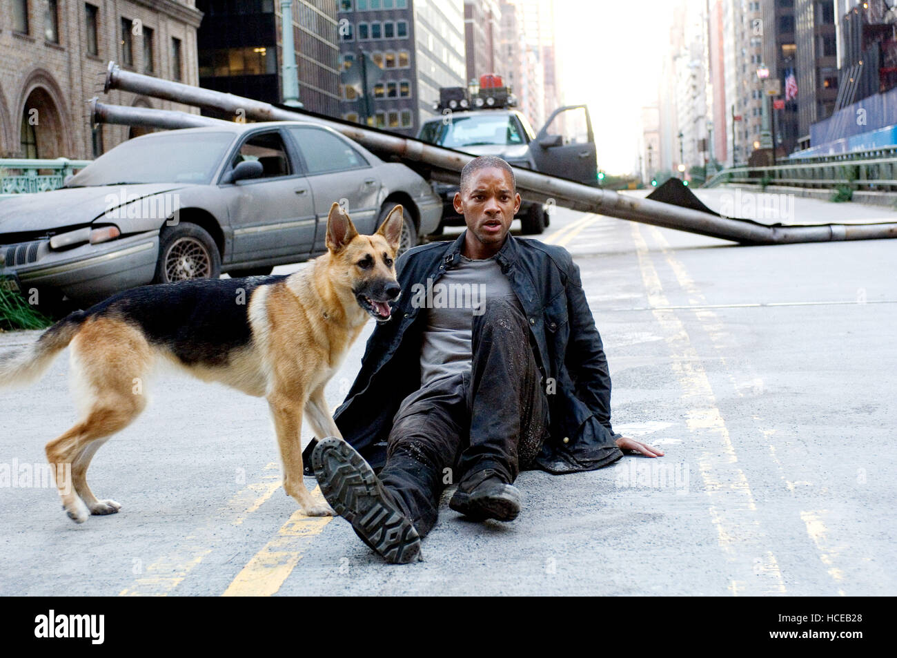 I AM LEGEND, Will Smith, 2007. ©Warner Bros./Courtesy Everett ...