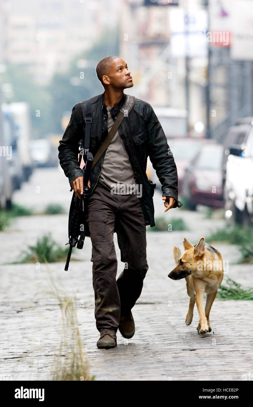 I AM LEGEND, Will Smith, 2007. ©Warner Bros./Courtesy Everett ...