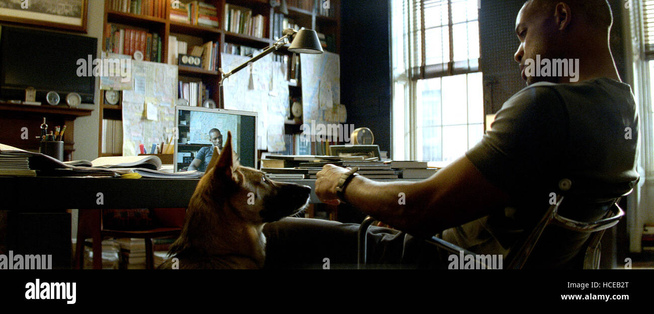 I AM LEGEND, Will Smith, 2007. ©Warner Bros./Courtesy Everett ...