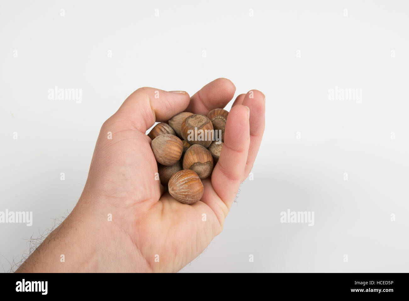 the nuts on the hand Stock Photo - Alamy