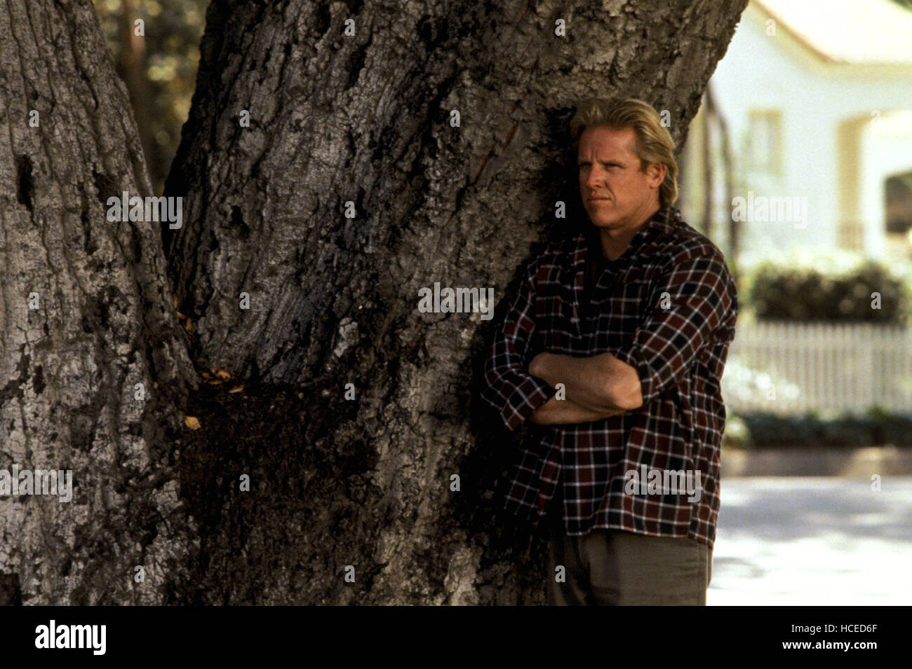 HIDER IN THE HOUSE, Gary Busey, 1989. ©Vestron/courtesy Everett ...