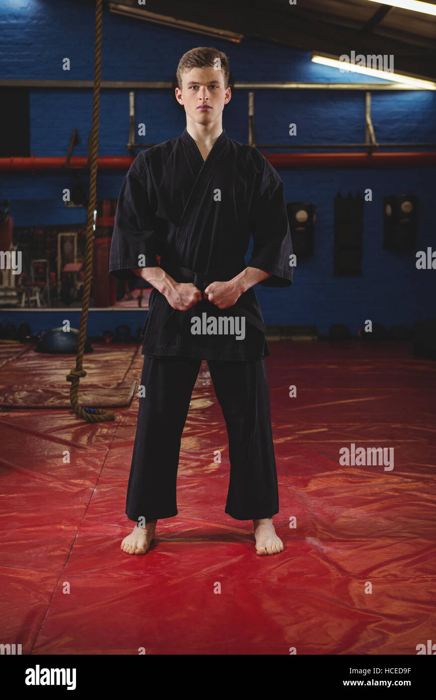 Karate player performing karate stance Stock Photo - Alamy