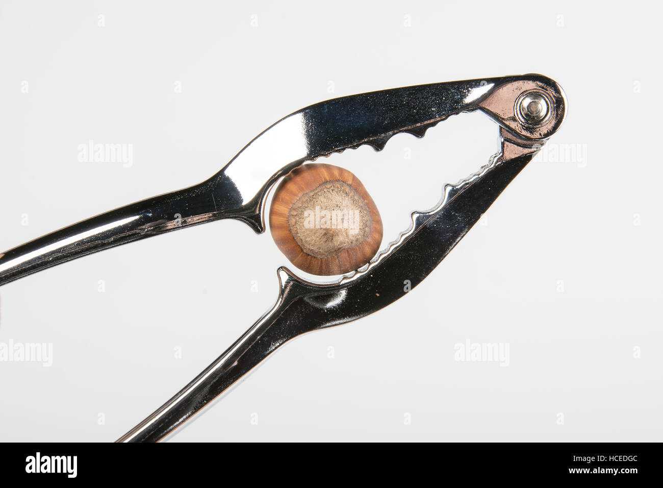 Crack the nut Stock Photo - Alamy