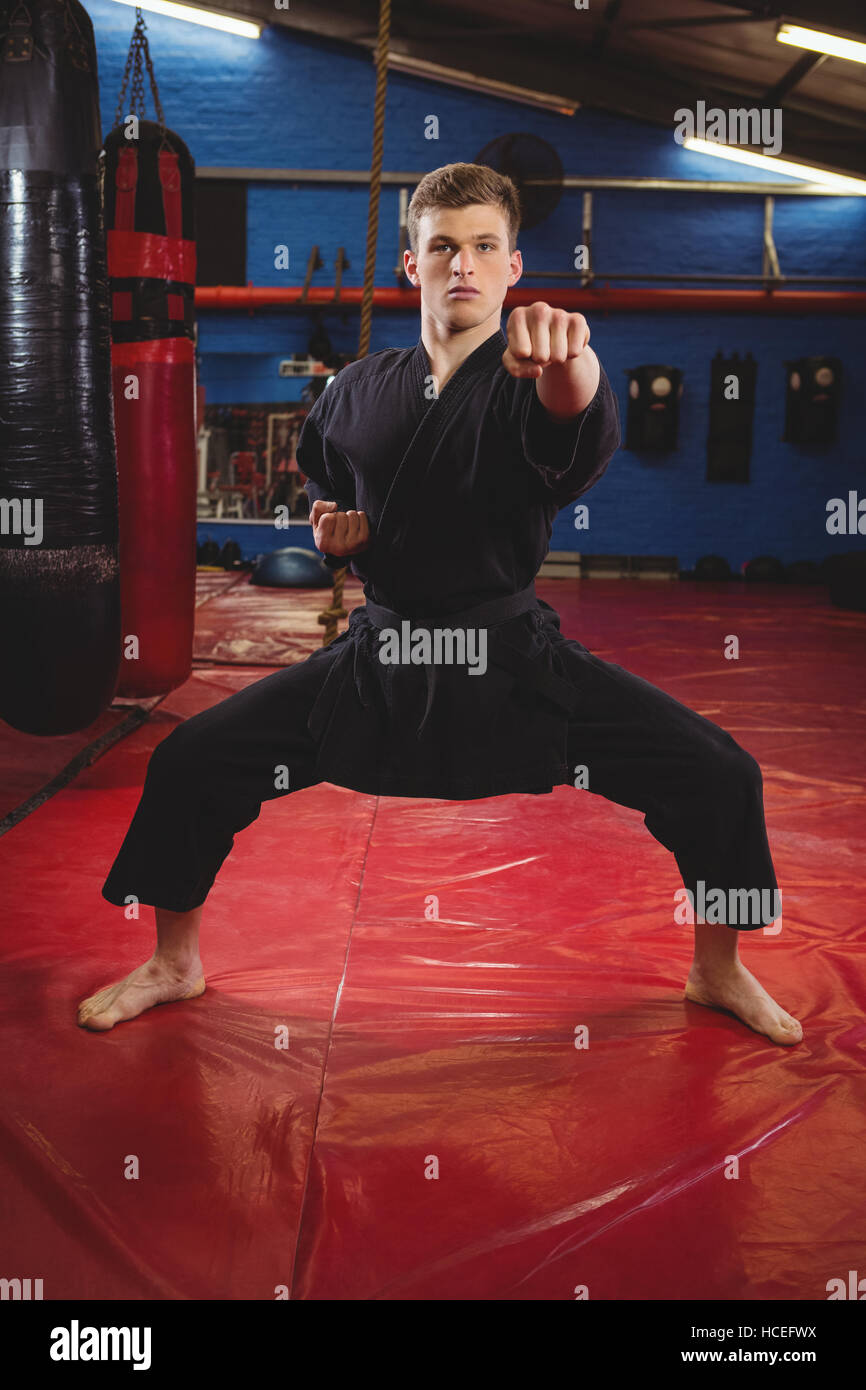Karate player performing karate stance Stock Photo - Alamy