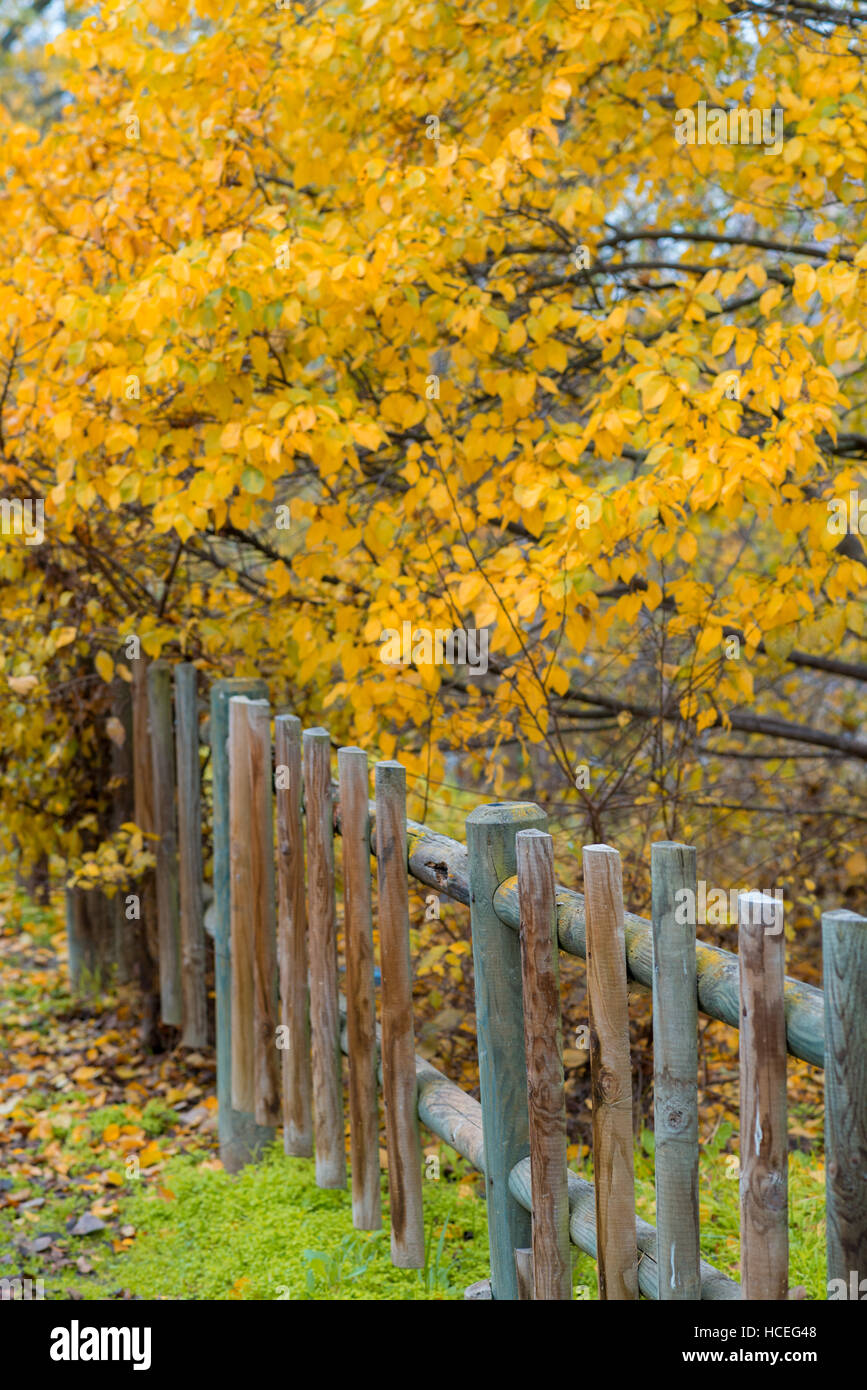 Wooden fence on a farm in autumn Stock Photo - Alamy