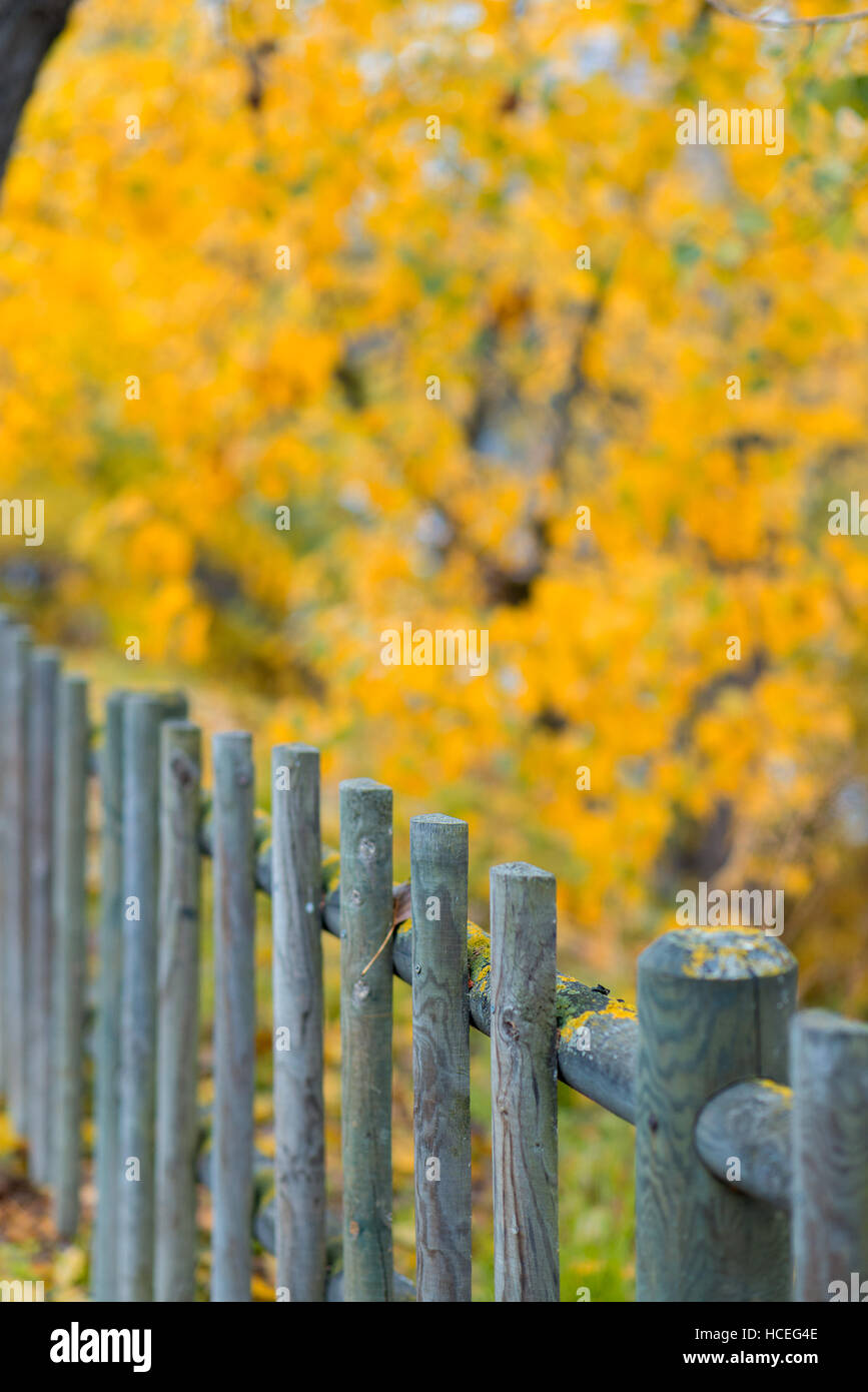 Wooden fence on a farm in autumn Stock Photo - Alamy