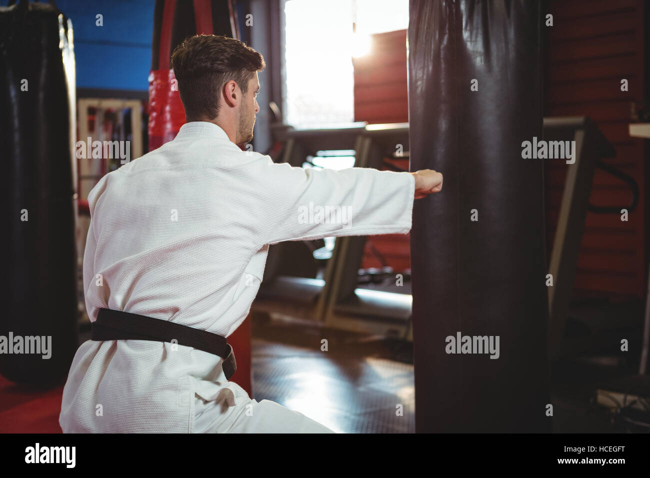 Karate player punching a boxing bag Stock Photo - Alamy