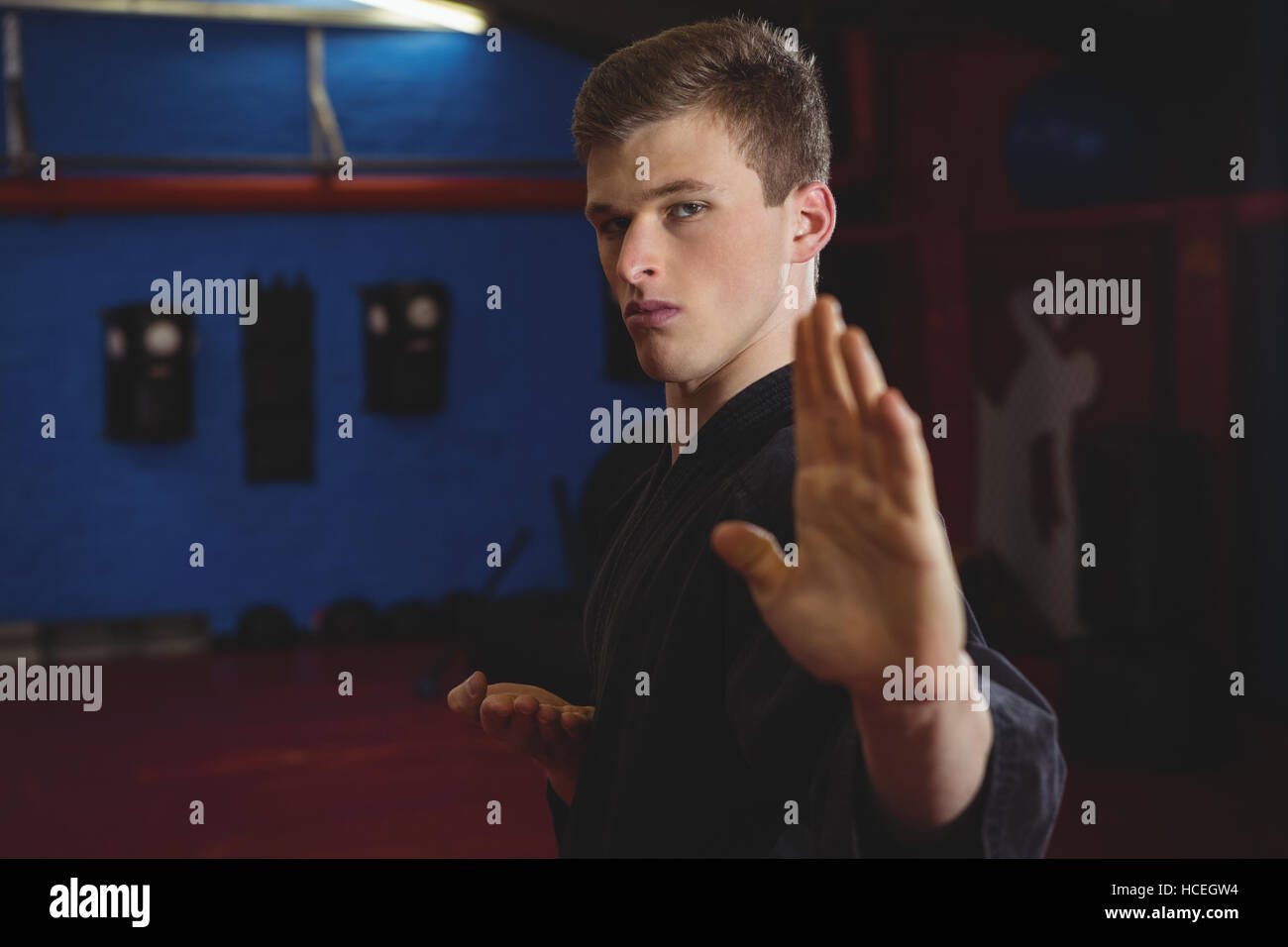 Karate player performing karate stance Stock Photo - Alamy