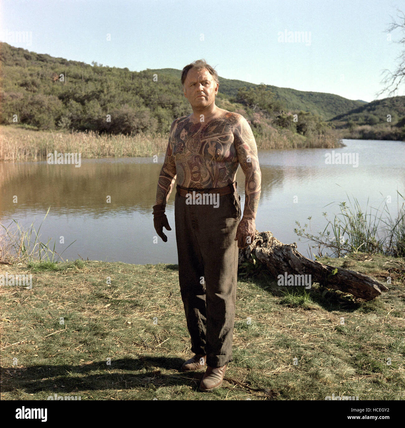 THE ILLUSTRATED MAN, Rod Steiger, 1969 Stock Photo - Alamy