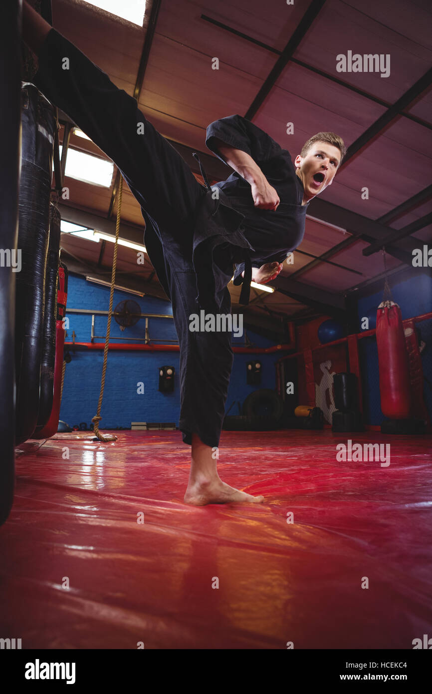 Karate player performing karate stance Stock Photo - Alamy
