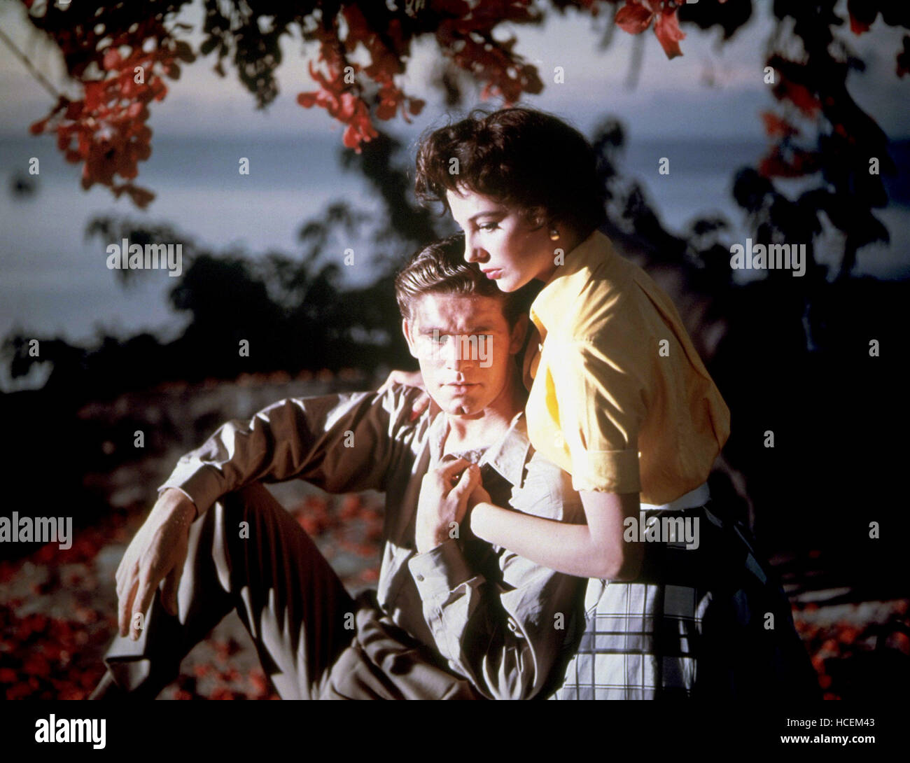 ISLAND IN THE SUN, Stephen Boyd, Joan Collins, 1957. ©20thCentFox ...