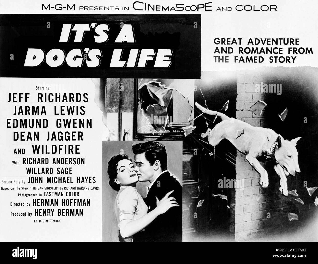 IT'S A DOG'S LIFE, embracing from left: Jarma Lewis, Jeff Richards ...