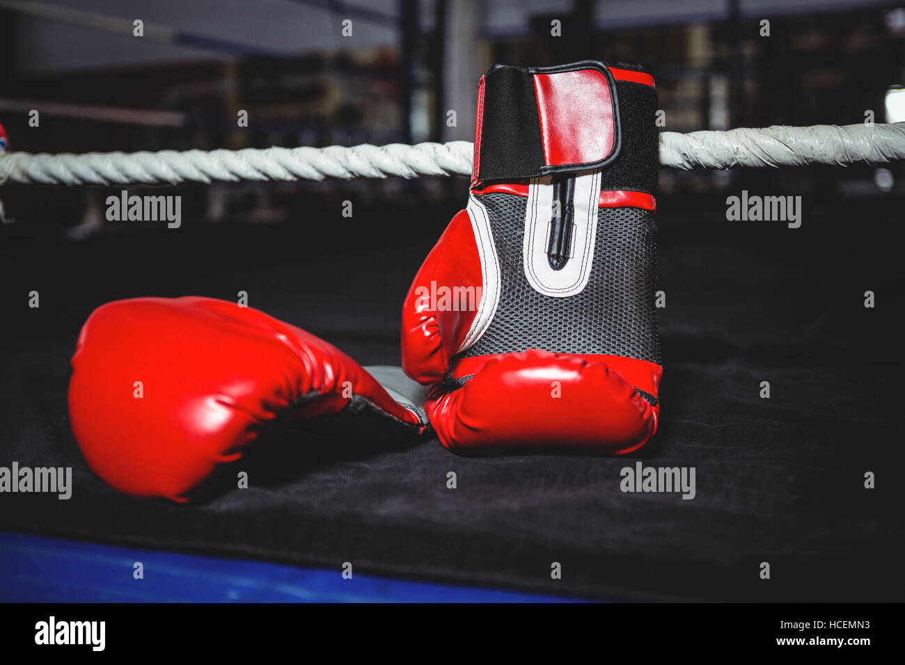 Red boxing leather gloves hi-res stock photography and images - Alamy