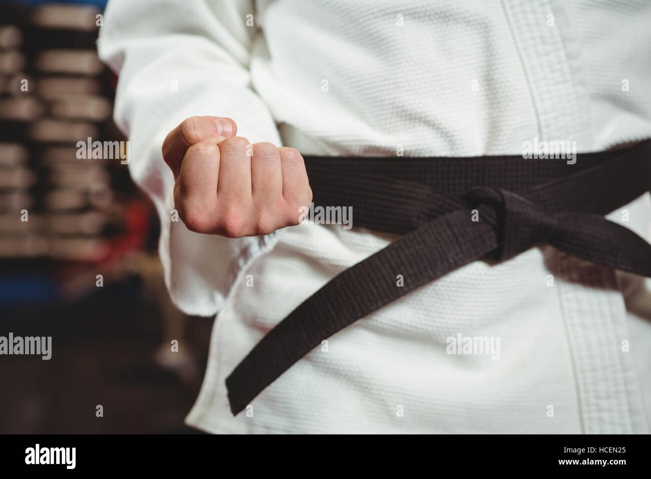 Karate player performing karate stance Stock Photo - Alamy
