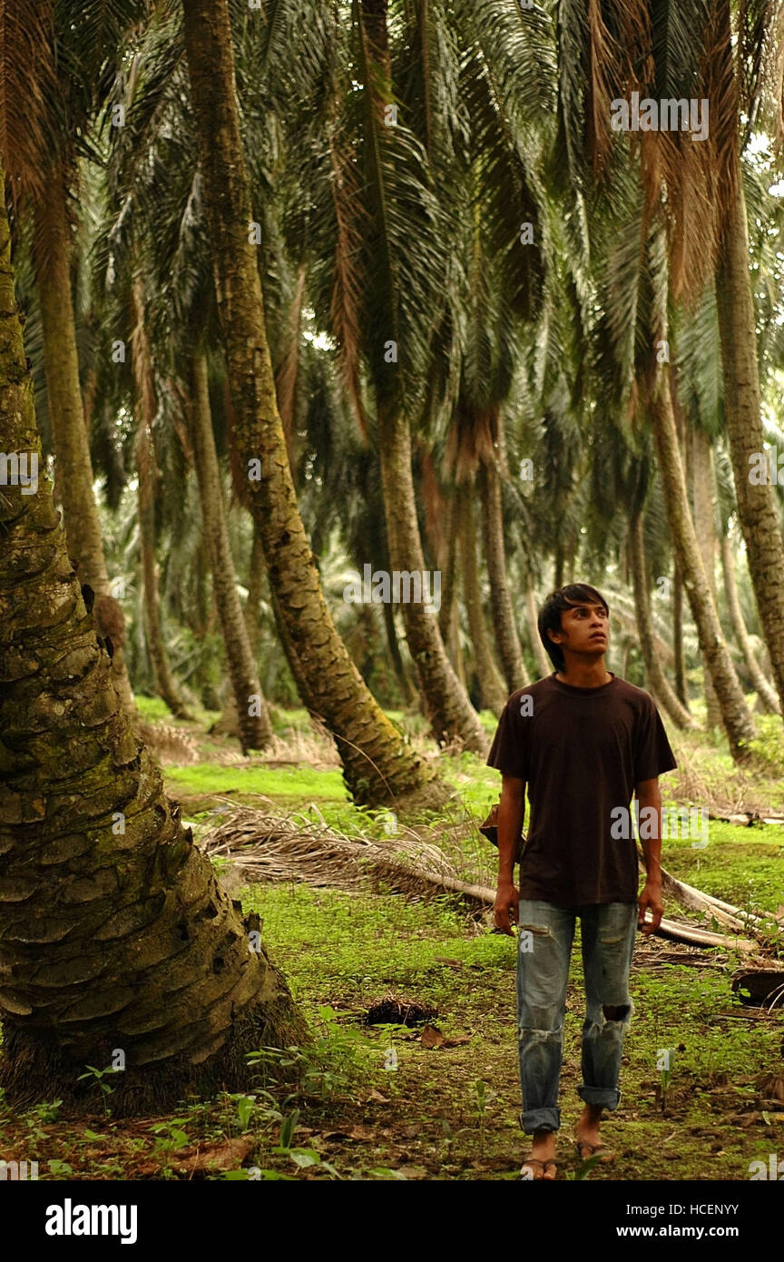 KARAOKE, Zahiril Adzim, 2009. ©Cathay-Keris Films/Courtesy Everett ...