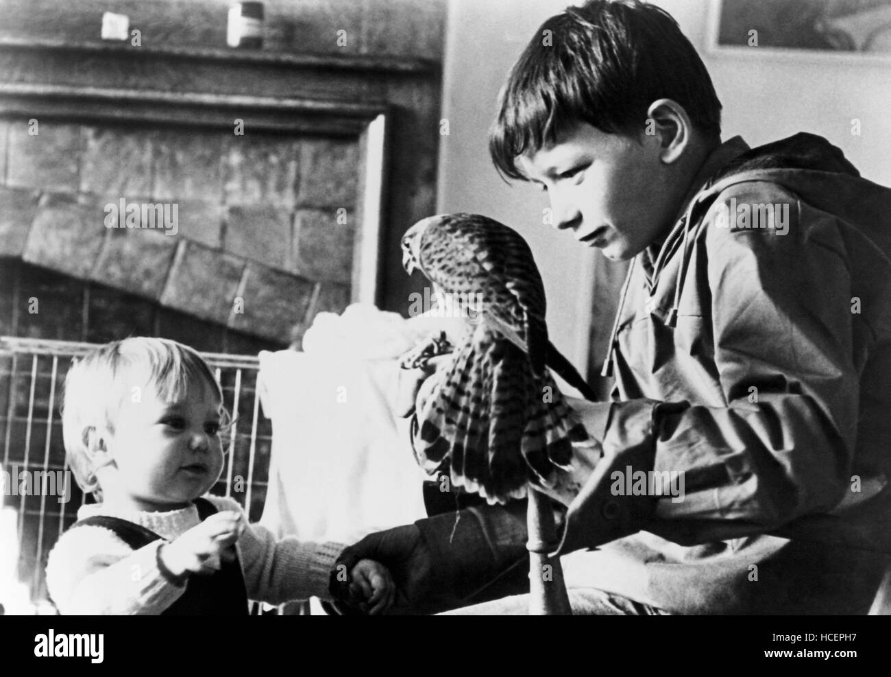 KES, David Bradley (right), 1969 Stock Photo - Alamy