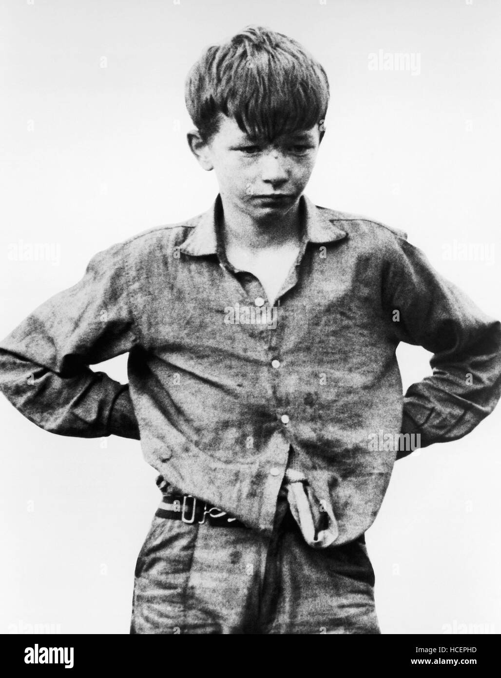 David Bradley Actor Young