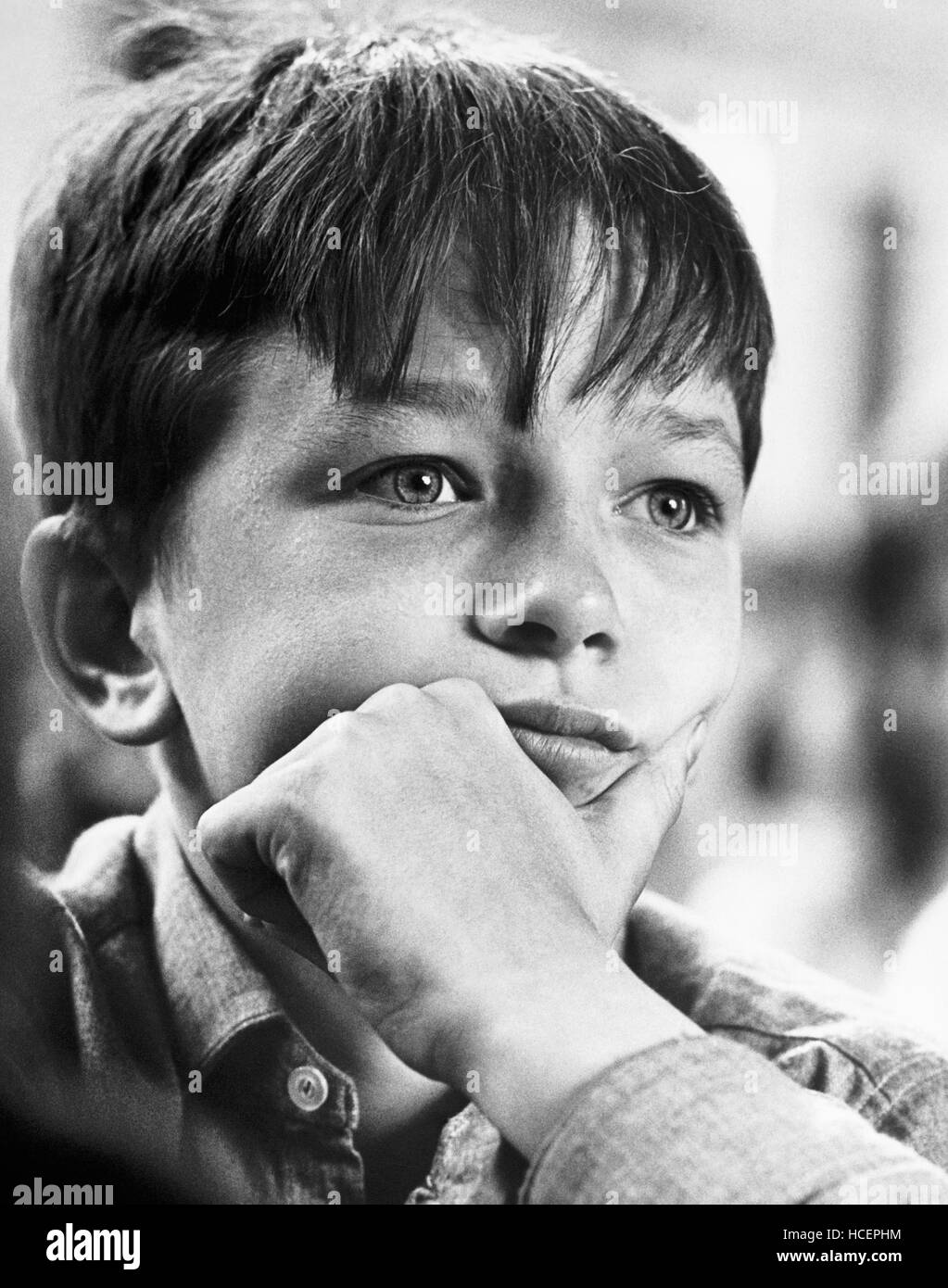 KES, David Bradley, 1969 Stock Photo - Alamy