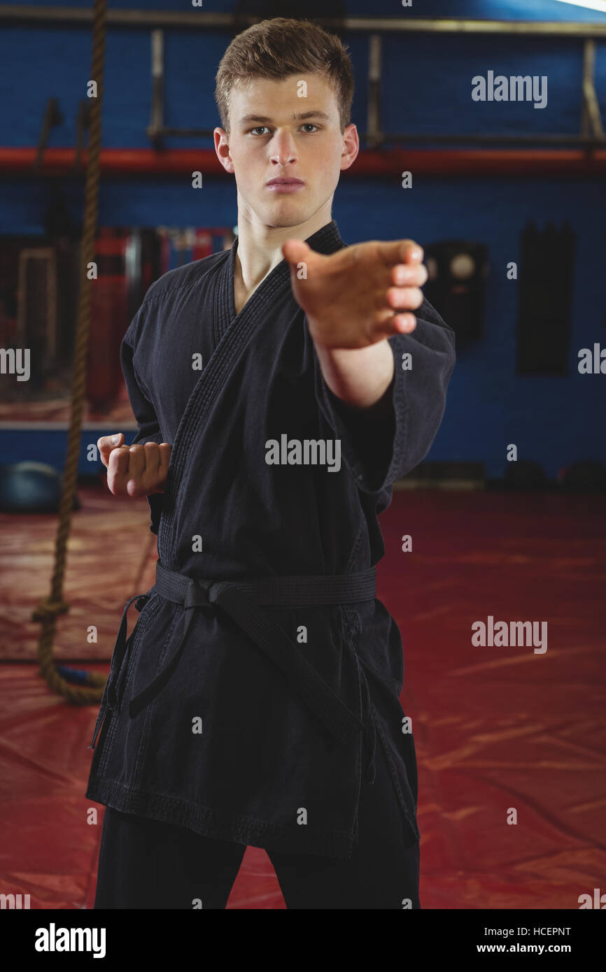 Karate player performing karate stance Stock Photo - Alamy