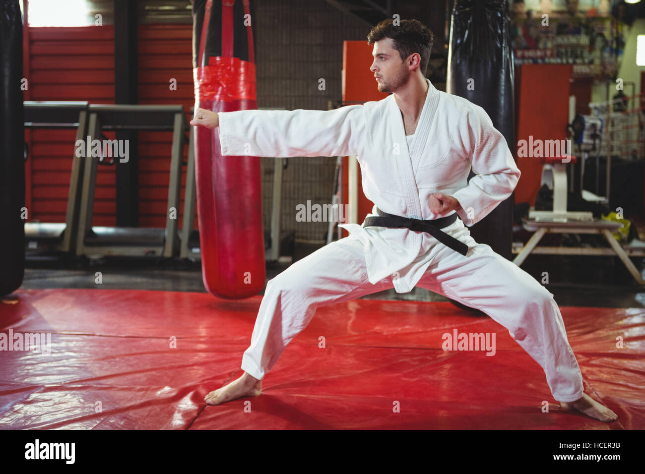 Karate player performing karate stance Stock Photo - Alamy