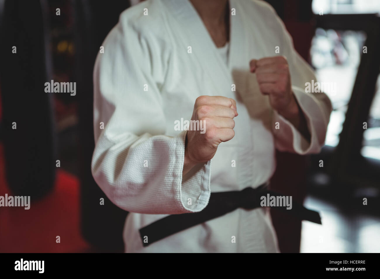 Karate player performing karate stance Stock Photo - Alamy