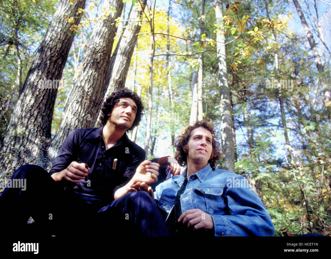 THE LAST HOUSE ON THE LEFT, David Hess, Marc Sheffler, 1972 Stock Photo ...