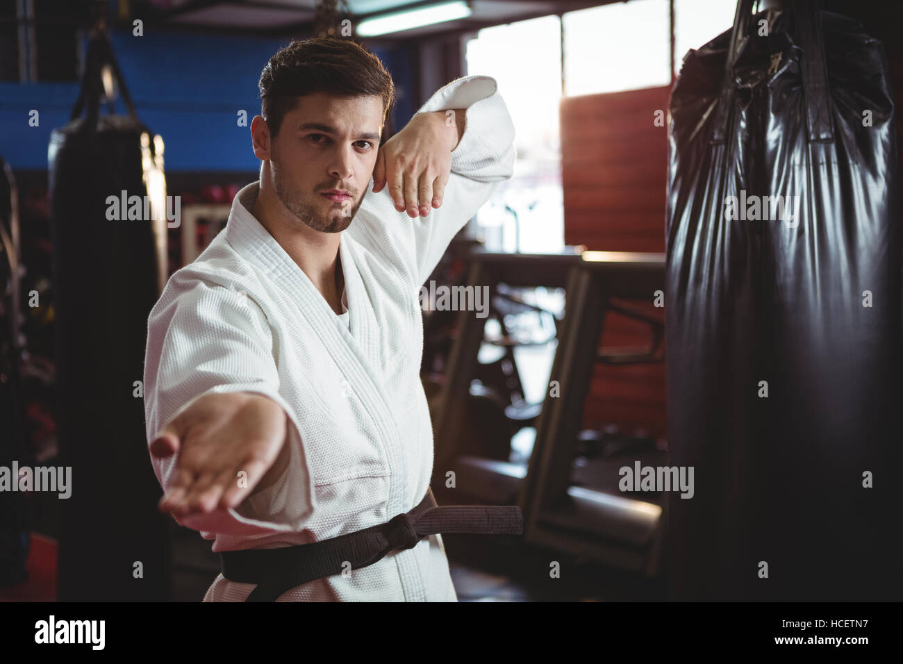 Karate player performing karate stance Stock Photo - Alamy