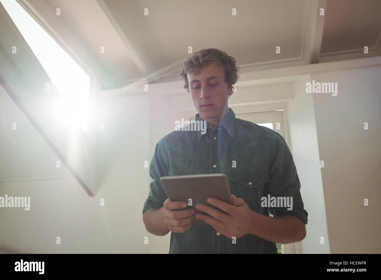 Sunbeam browsing hi-res stock photography and images - Alamy
