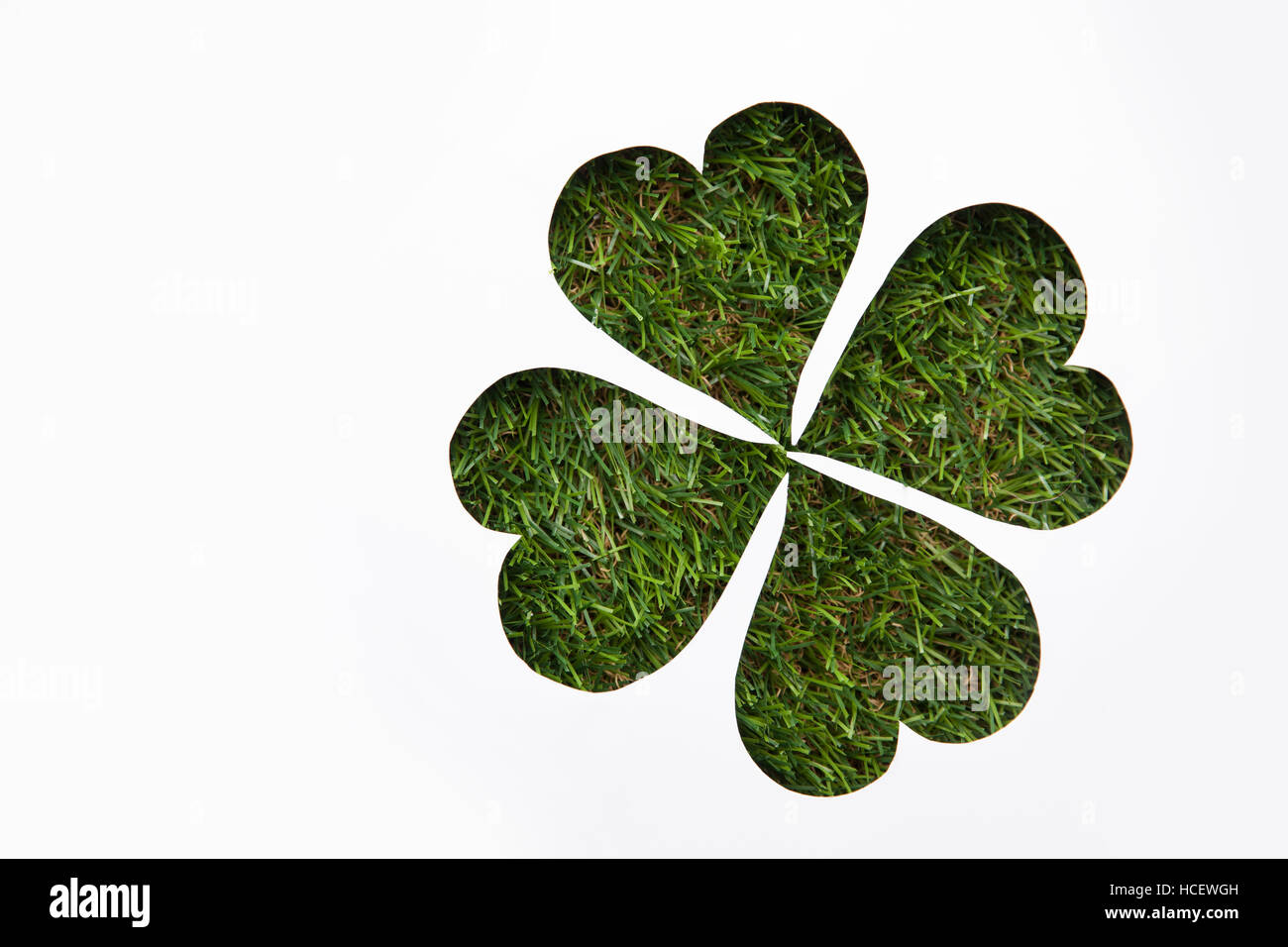 Green four leaf clover hi-res stock photography and images - Alamy