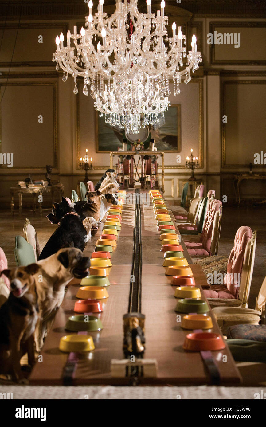 HOTEL FOR DOGS, 2008. ©DreamWorks/courtesy Everett Collection Stock ...