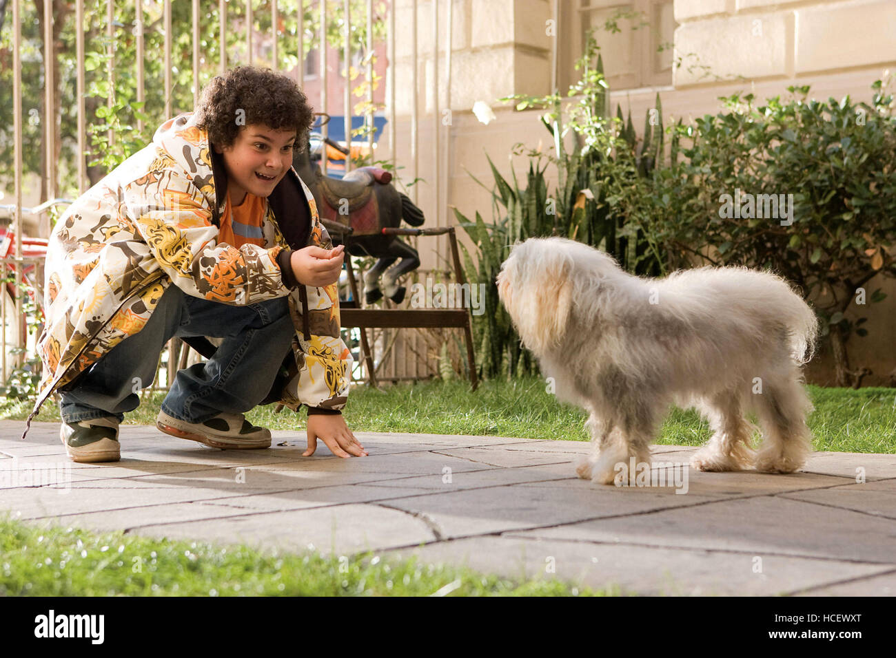 HOTEL FOR DOGS, Troy Gentile, 2008. ©DreamWorks/courtesy Everett ...