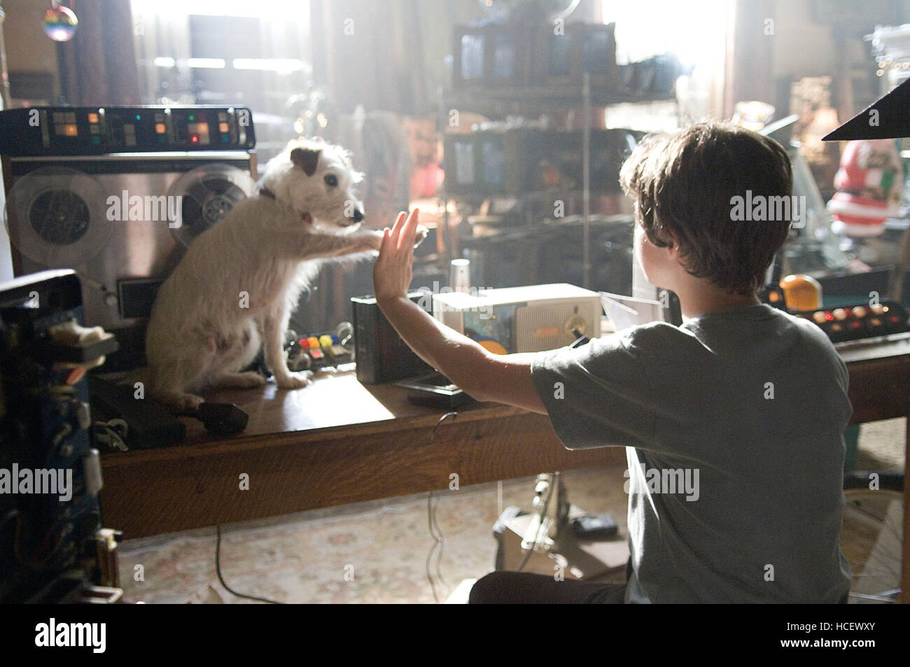 HOTEL FOR DOGS, Jake T. Austin, 2008. ©DreamWorks/courtesy Everett ...