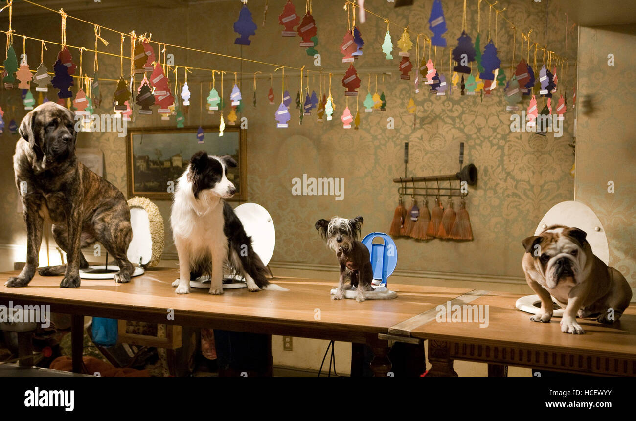 HOTEL FOR DOGS, from left: Lenny the mastiff, Shep the border collie ...