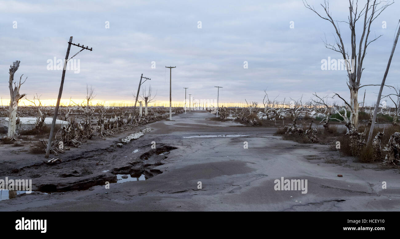 HOMO SAPIENS, 2016. © Kimstim Films /Courtesy Everett Collection Stock ...