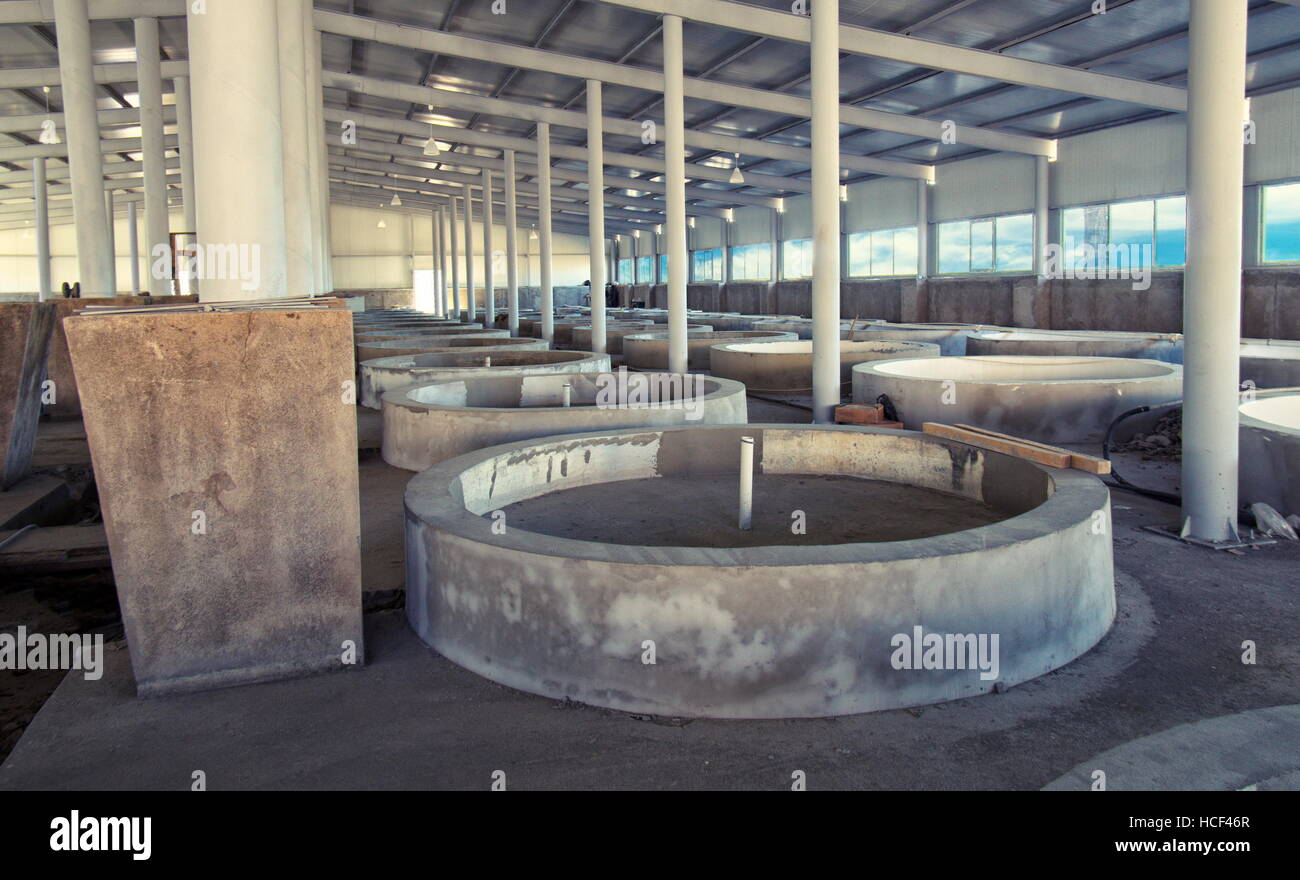fish farm interior,empty fish tanks Stock Photo - Alamy