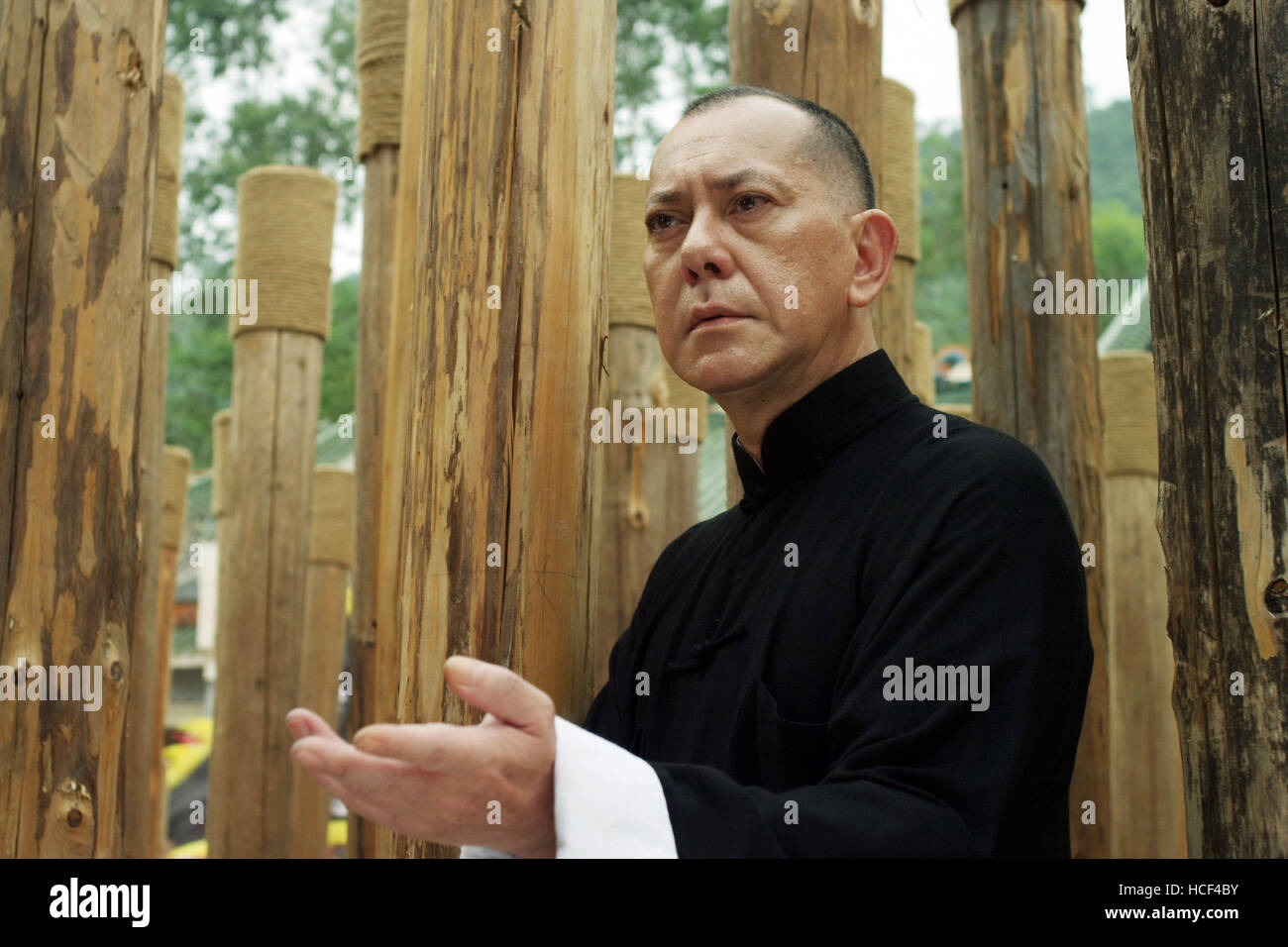 IP MAN: THE FINAL FIGHT, (aka YIP MAN: JUNG GIK YAT JIN), Anthony WONG ...