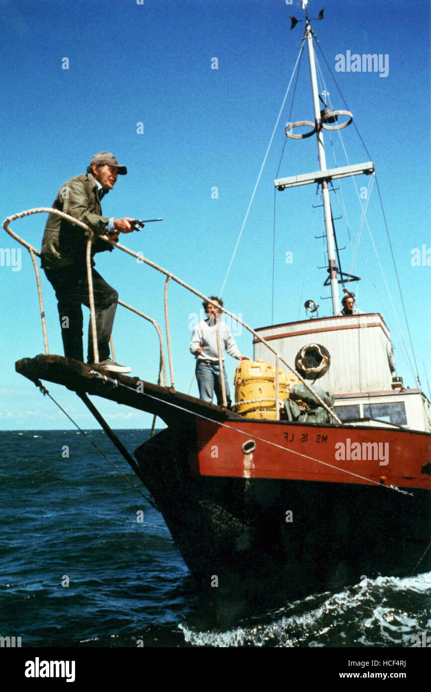 JAWS, Robert Shaw, Richard Dreyfuss, Roy Scheider, 1975 Stock Photo - Alamy