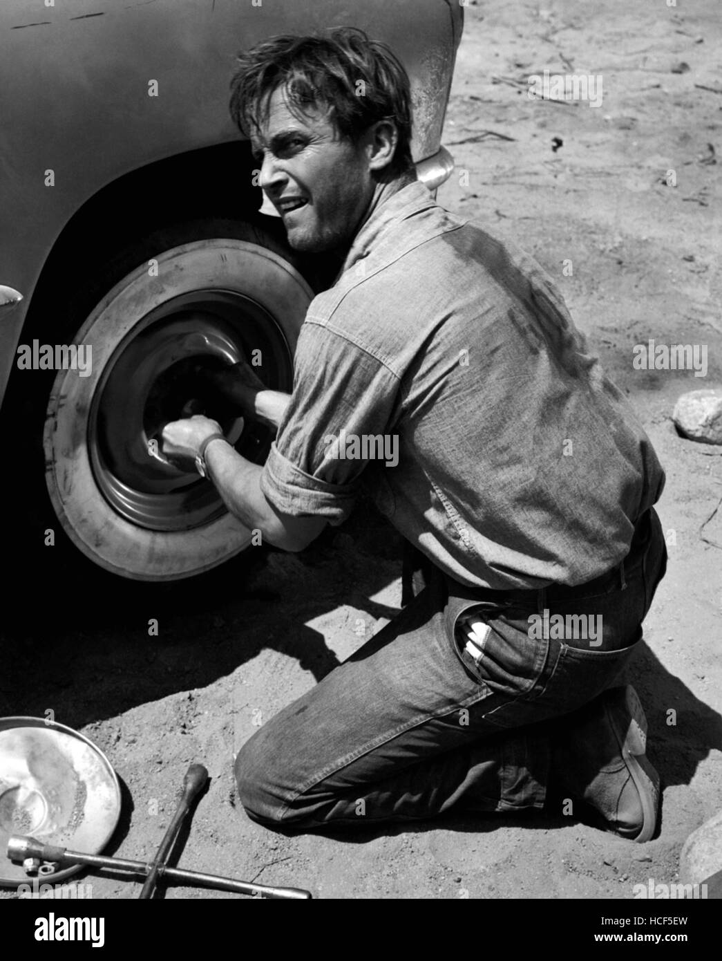 JEOPARDY, Ralph Meeker, 1953 Stock Photo - Alamy
