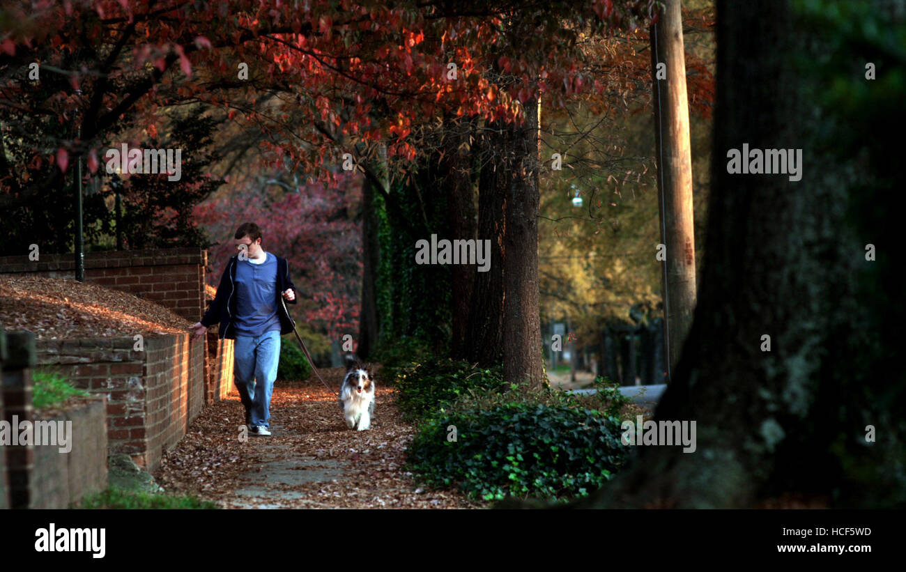 JIMMY, Ian Colletti, 2013 Stock Photo - Alamy